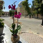 Eslem Çiçekçilik (Şanlıurfa, Karaköprü, Güllübağ Mah., Mahmut Tuncer Cad.), çiçekçiler  Karaköprü'den