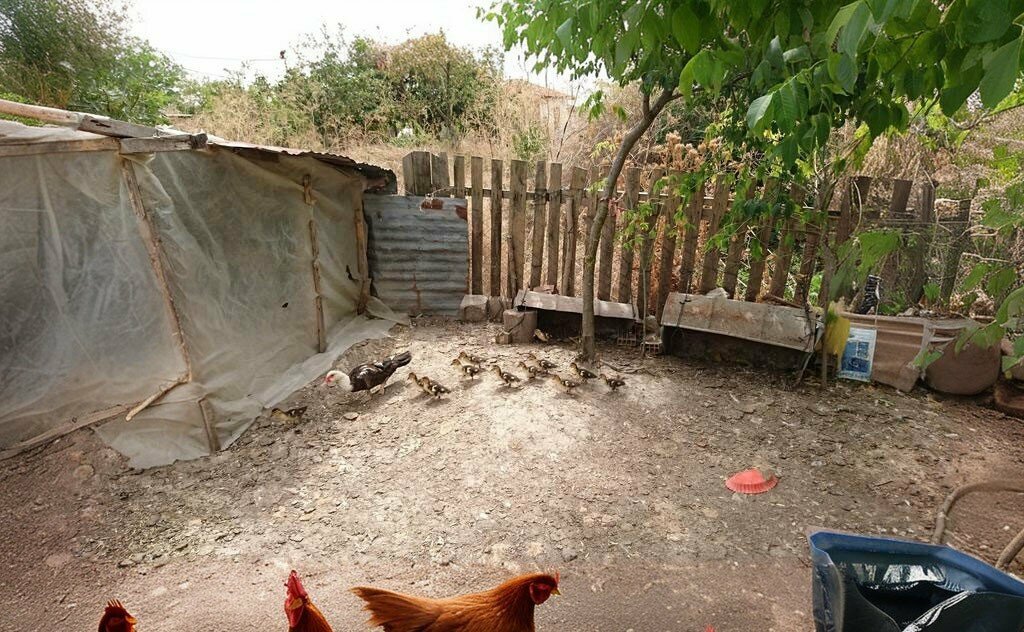 Muhtarlıklar Kabaağaç Köy Muhtarlığı, Havsa, foto