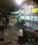 Karakaya Pet Shop (Afyonkarahisar, Dinar, Adliye Mah., Dr. Ali Eren Cad., 28), petshop  Dinar'dan