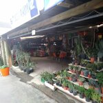 Kurtuluş Tarım Market (İzmir, Urla, Kuşçular Mah., Kuşçular Cad., 10), mini-market  Urla'dan