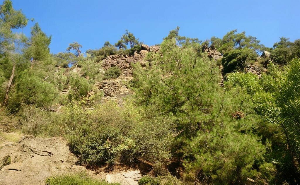 Aile sağlığı merkezi İzmir Kemalpaşa 8 Nolu Yiğitler Aile Sağlığı Merkezi, Kemalpaşa, foto