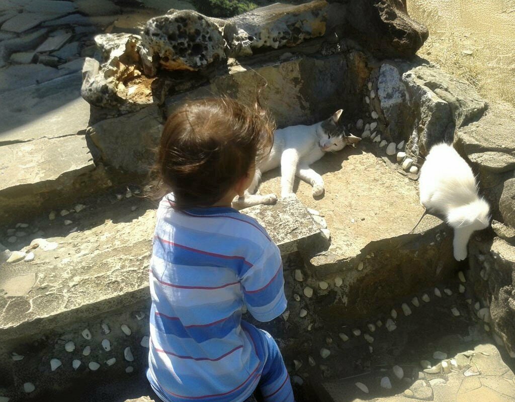 Kültür ve eğlence parkları Kardelen Çocuk Parkı, İstanbul, foto