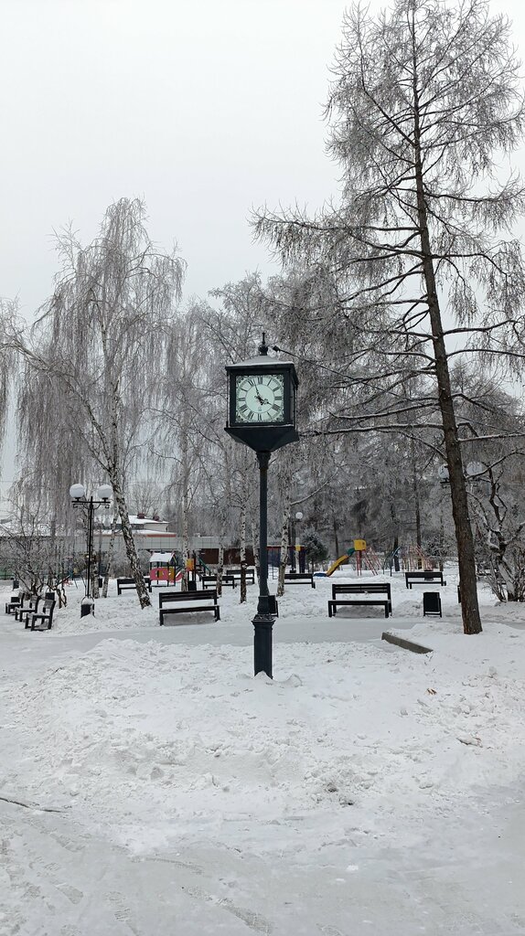 Park, sokak heykeli Уличные кованые часы, Irkutsk, foto