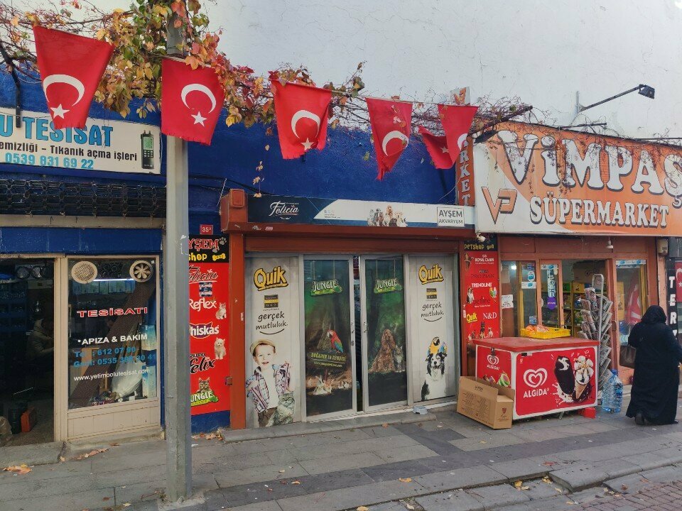 Petshop Ayşem Akvaryum, İstanbul, foto