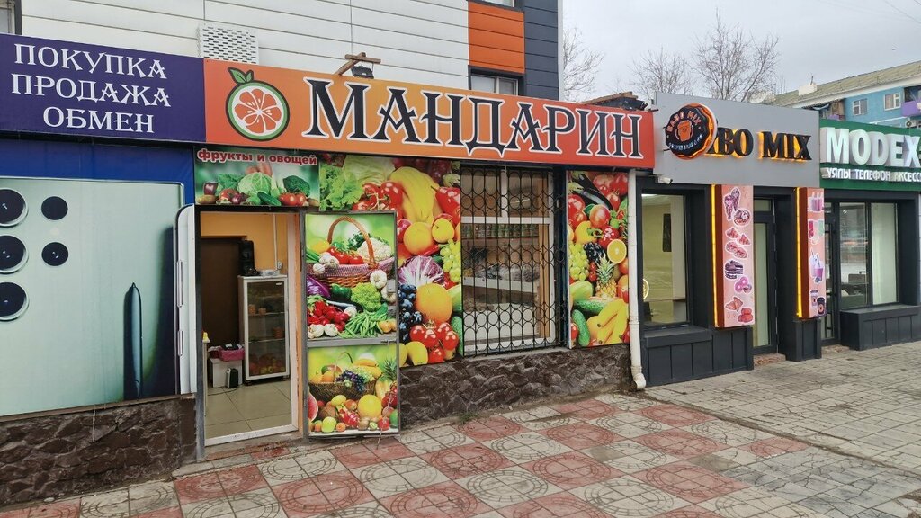 Manavlar Mandarin, Kızılorda, foto