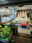 Körfez Balık Manav (Dikmen Cad., No:232E, Çankaya, Ankara), balık ve deniz ürünleri  Ankara'dan