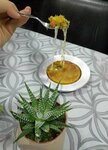 Mehmet Usta Mersin Tantuni (Muğla, Datça, İskele Mah., Ambarcı Cad., 14A), restoran  Datça'dan
