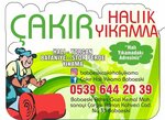Çakır Halı Yıkama (Kırklareli, Babaeski, Gazikemal Mah., Adnan Kahveci Cad., 33), halı yıkamacılar  Babaeski'den