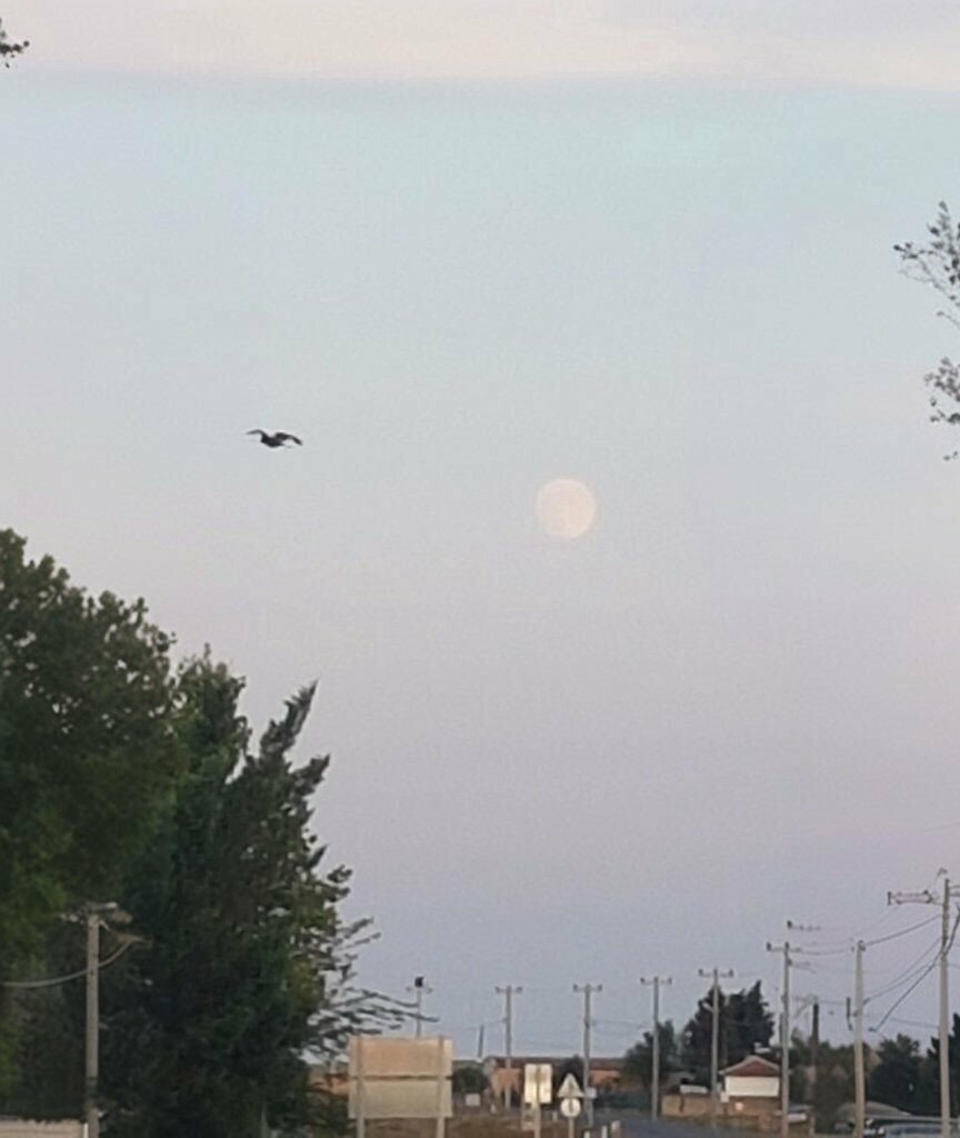 Tarım kredi kooperatif birlikleri 2366 Sayılı Karamehmet Tarım Kredi Kooperatifi, Ergene, foto