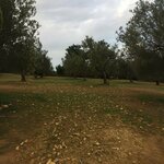 Rüzgar Emlak (Öğretmenler Mh., Muammer Aksoy Cd., No: 32, Burhaniye, Balıkesir), emlak ofisi  Burhaniye'den