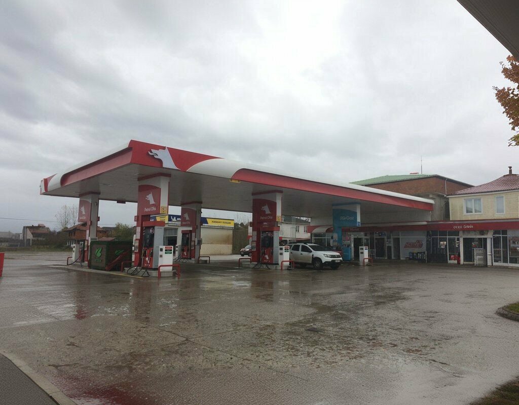 Benzin istasyonu Petrol Ofisi, Karasu, foto