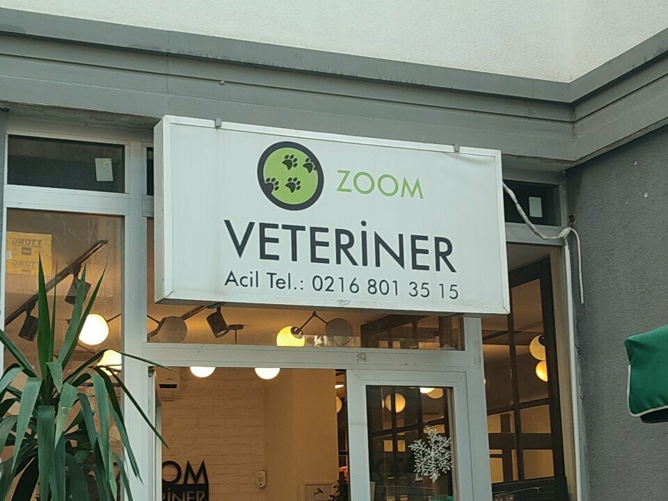 Veteriner klinikleri Zoom Veteriner, İstanbul, foto