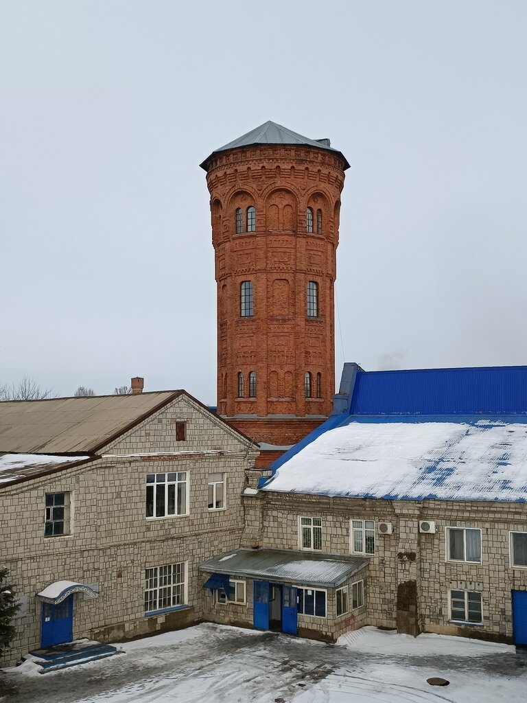 Turistik yerler Башня водонапорная 1870 г., 1905 г., Orenburg, foto