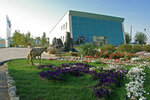 Museum of the Naurzum Reserve (Qazybek-Bı kóshesi No:5, Qarameńdi aýyly), müzeler ve sanat galerileri  Kostanay eyaletinden