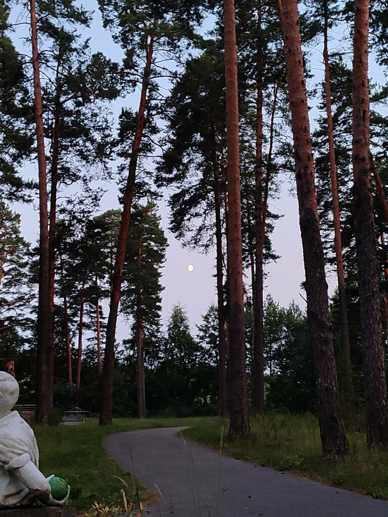 Meslek kursları Кавардак, Vladimirskaya oblastı, foto