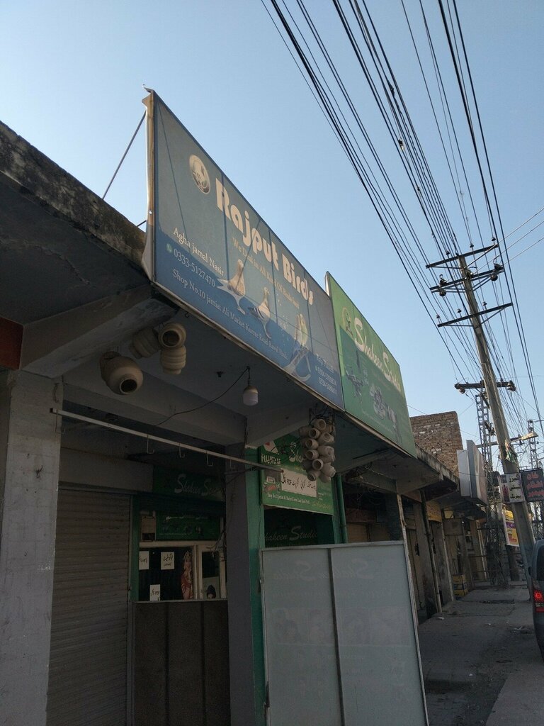 Market Raja Bird's, Rawalpindi, foto