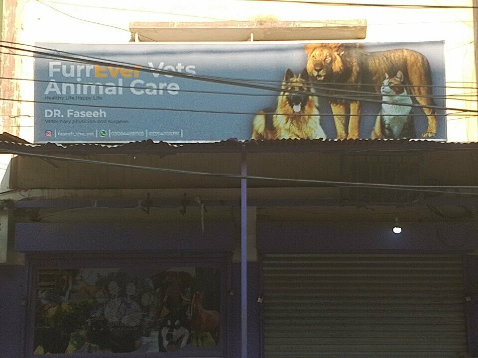 Veteriner klinikleri Furever vets animal care, Karaçi, foto