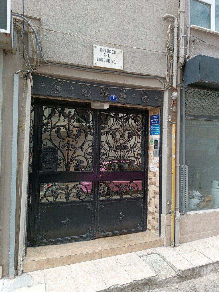 Mali müşavir Smmm Efe Barış, İzmir, foto