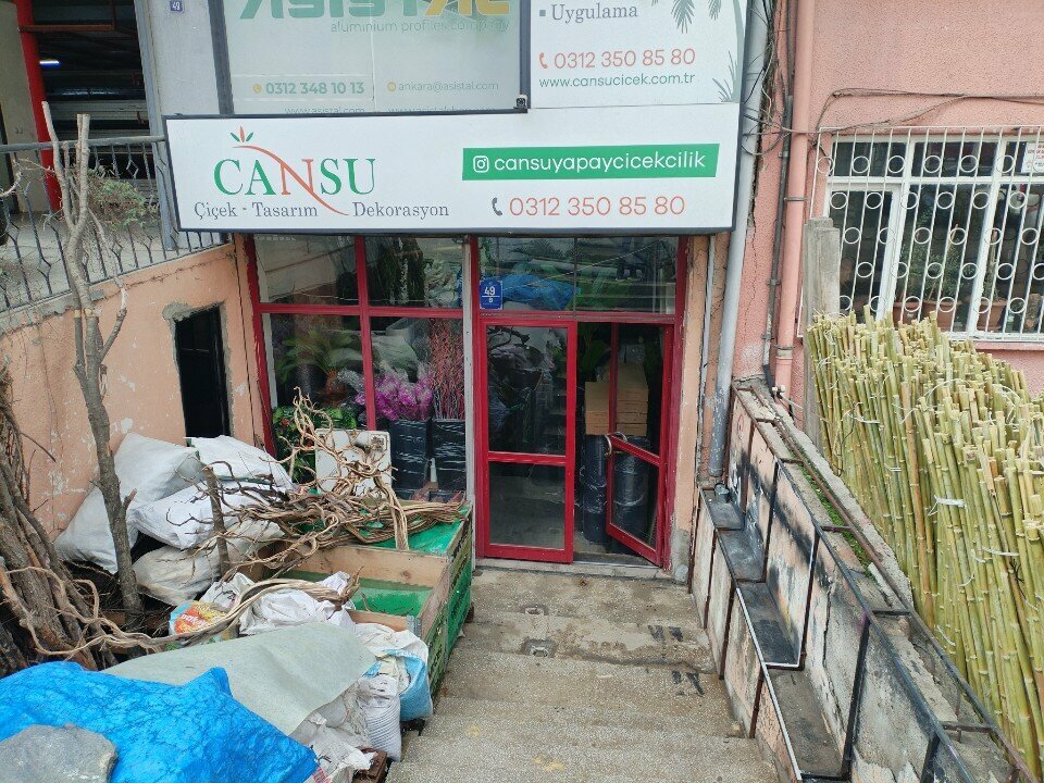 Yapay bitki ve çiçek Cansu Yapay Çiçekçilik, Ankara, foto