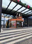 Monkey Circus (Dybenko Street No:30), oyun makinesi  Samara'dan
