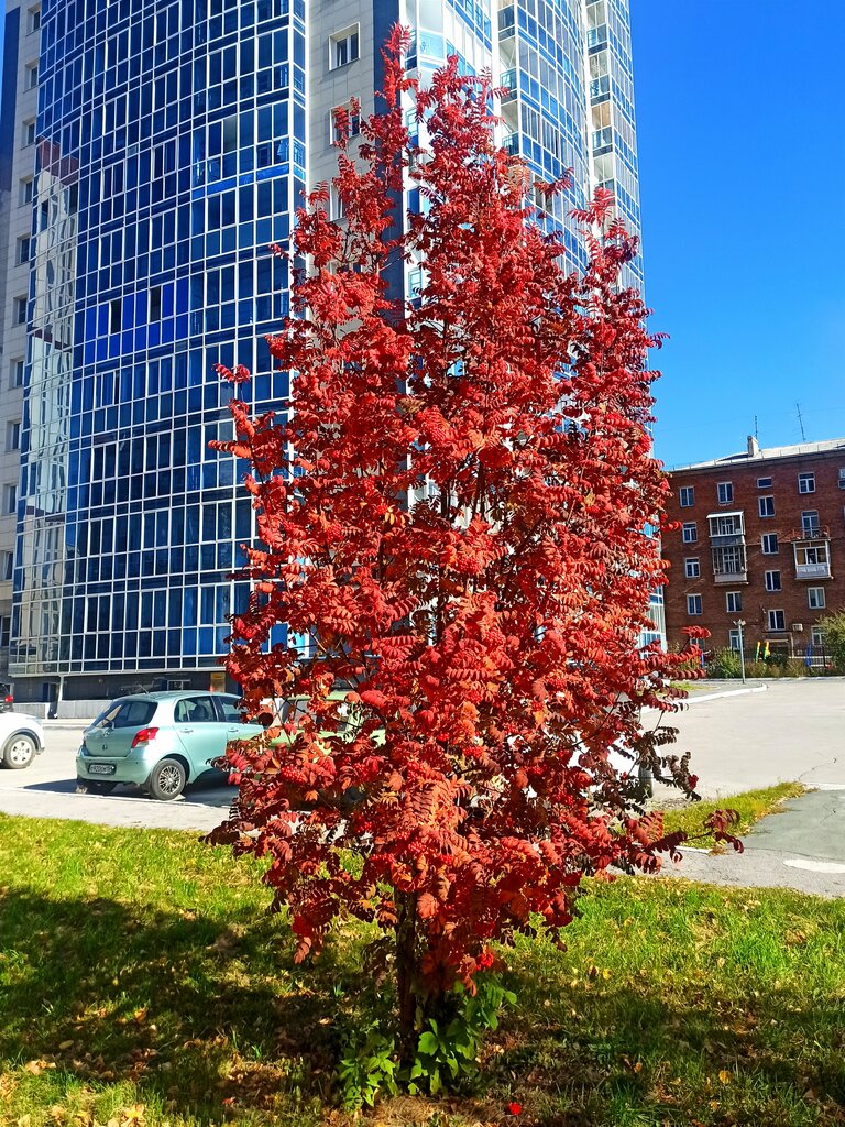 Konut blokları Тихвинский, Novosibirsk, foto