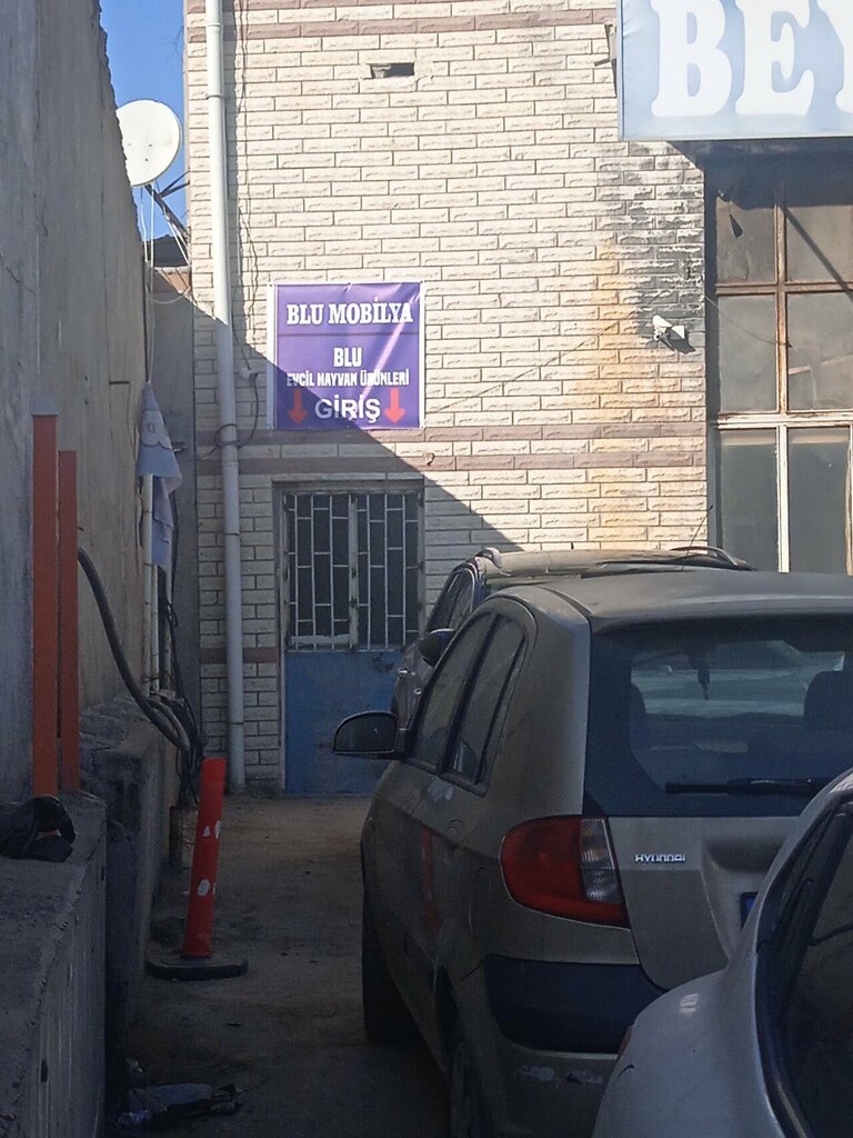 Yönetim ofisi Blu Evcil Hayvan Ürünleri Toptan ve Perakende, Ankara, foto