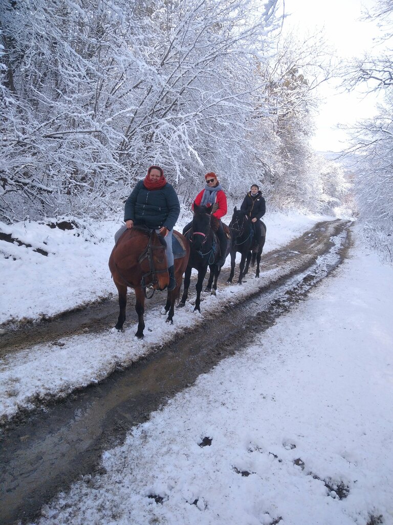 At ve binicilik kulüpleri Прокат лошадей, Adıge Cumhuriyeti, foto