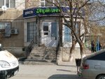 Qiwi (No:42, 12-shi shaǵyn aýdan), ödeme terminali  Aktav'dan