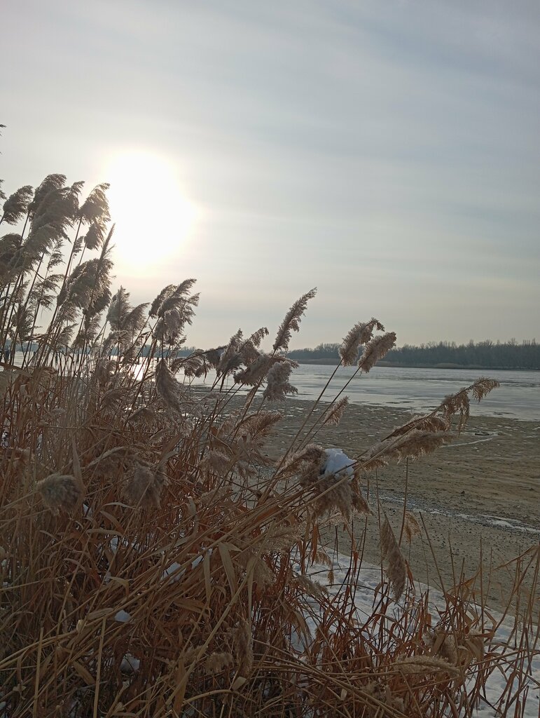 Plaj Пляж, Rostovskaya oblastı, foto