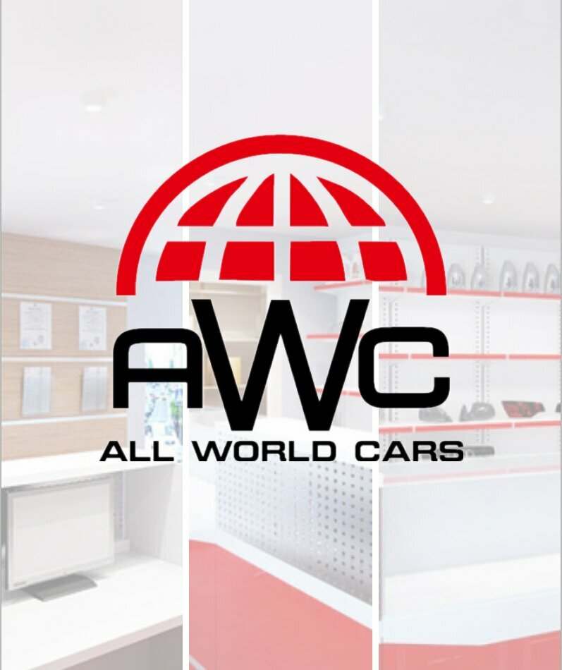 Otomobil yedek parçaları All World Cars, Murom, foto