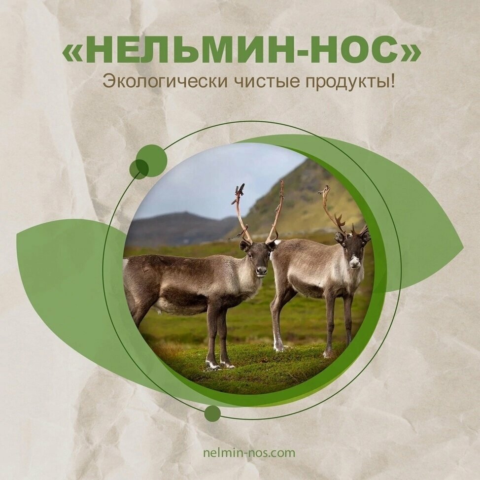 Kasap, şarküteri КФХ Нельмин-Нос, Naryan‑Mar, foto