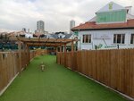 Mutlu Kaktüs Montessori Okulu (Ankara, Çankaya, Alacaatlı Mah., 3346. Cad., 35/158), anaokulları  Ankara'dan