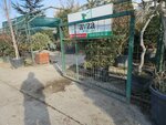 Ayza Peyzaj (Aşağı Yahyalar Mah., Yenimahalle, Ankara), peyzaj tasarımı  Ankara'dan
