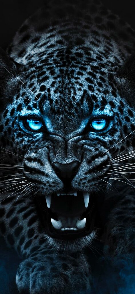 Oto lastik tamiri Шиномонтаж, Uzlovaya, foto