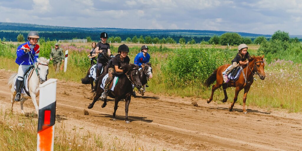 At ve binicilik kulüpleri New History, Sverdlovskaya oblastı, foto
