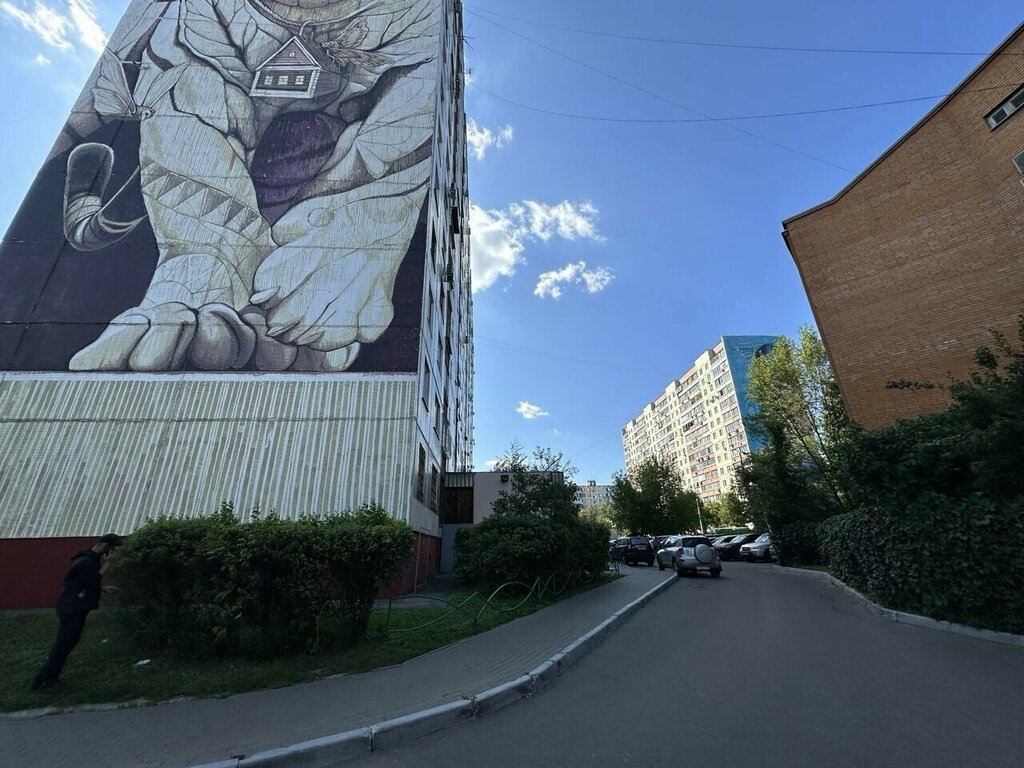 Sokak sanatı Мурал Белый тигр, Balaşiha, foto