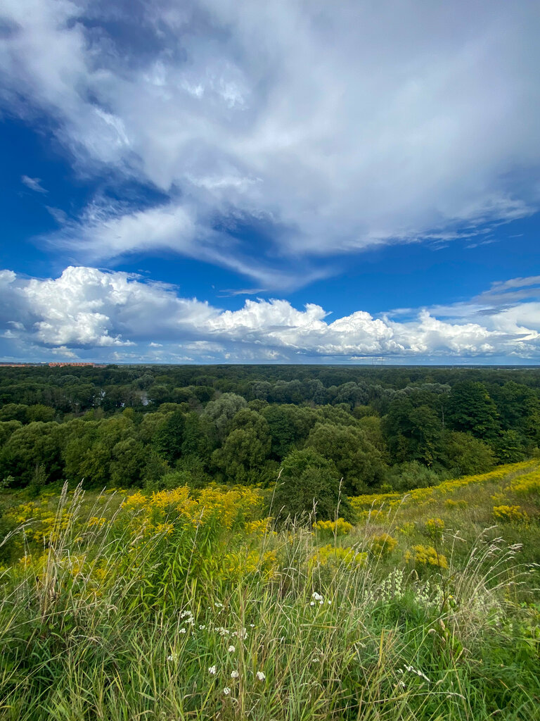 Seyir terası Смотровая площадка, Briansk, foto