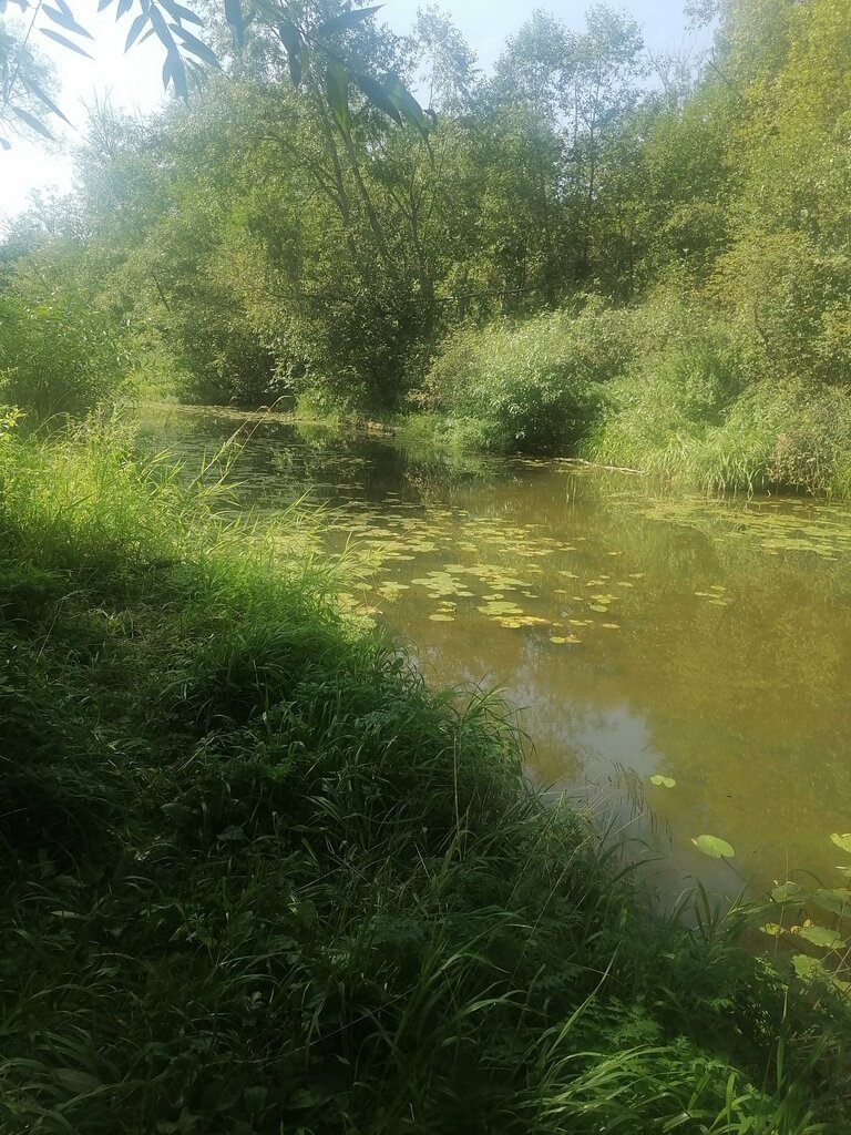 Plaj Пляж, Moskova ve Moskovskaya oblastı, foto