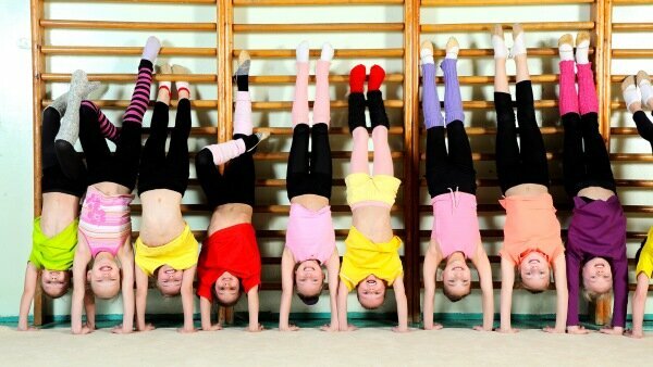 Çok amaçlı spor tesisleri Twins Cimnastik Yaşamkent, Ankara, foto