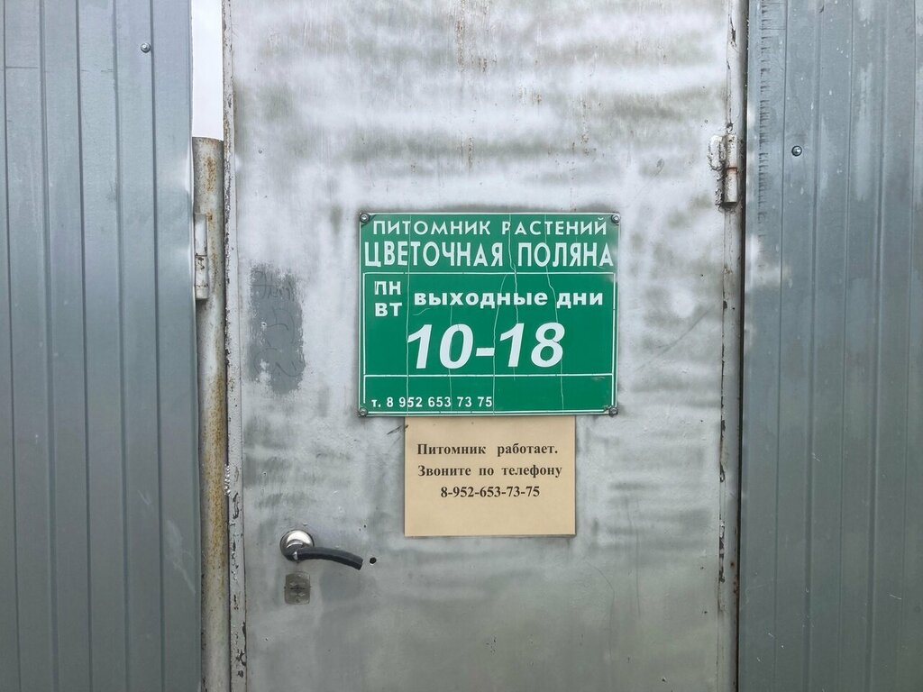 Fidan yetiştiriciliği Цветочная поляна, Permski krayı, foto