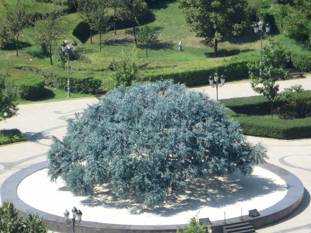 Turistik yerler Fountain, Grozni, foto