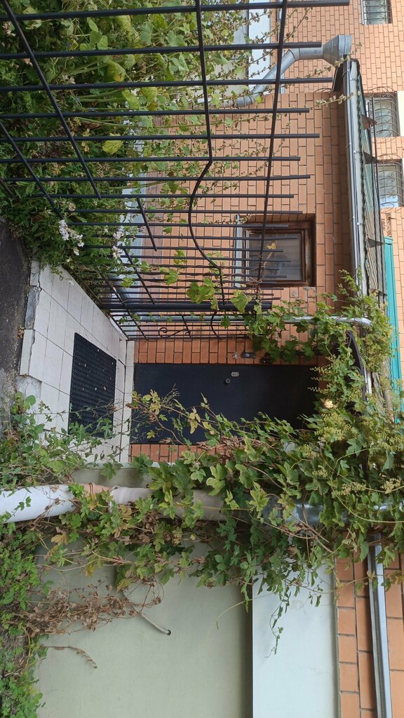 Bilişim firmaları Биллинг онлайн решения, Kazan, foto