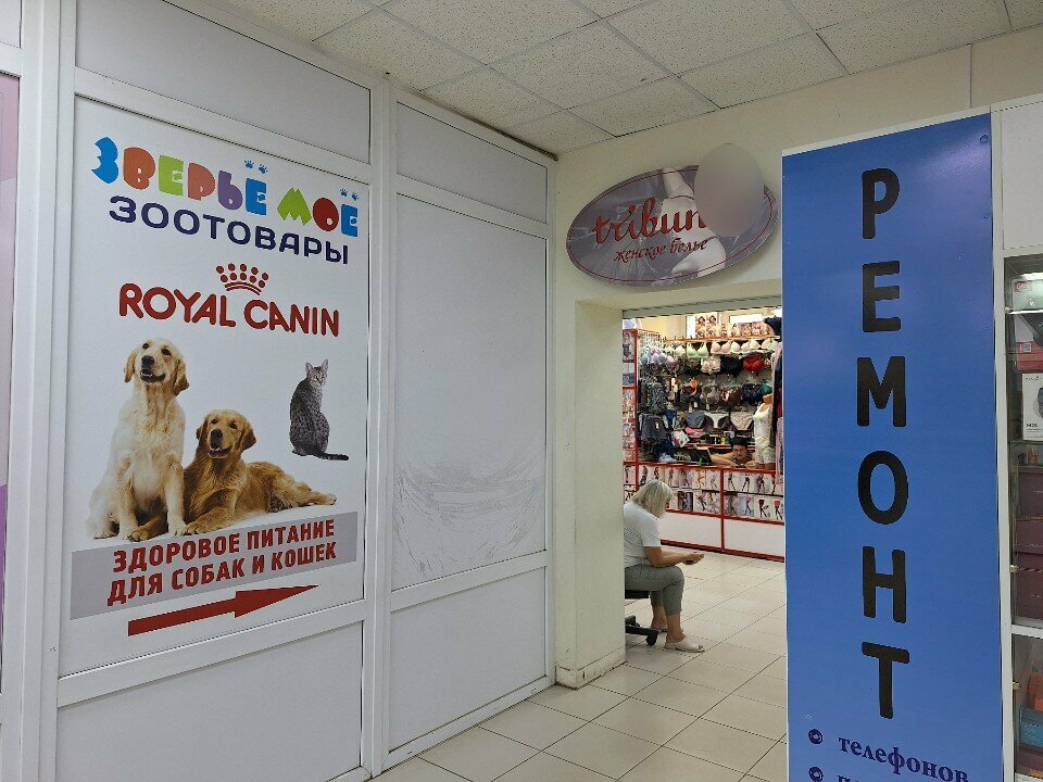 Terziler Ателье, Voronej, foto