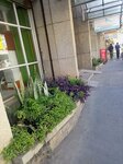 Hilomu Stationery (Lusaka, Chachacha Road), kırtasiyeler  Lusaka'dan