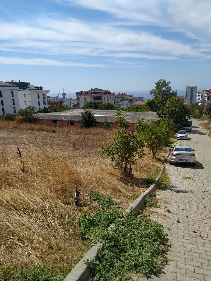 Balık ve deniz ürünleri Belenkoğulları Balıkçılık, İstanbul, foto