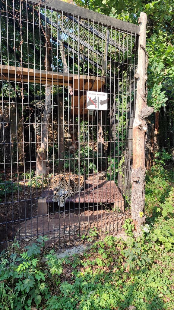 Hayvan muhafazaları Леопард, Kaliningrad, foto