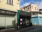 Maia Antik (İstanbul, Fatih, Ayvansaray Mah., Ayan Cad., 49), antikacı dükkanları  İstanbul'dan