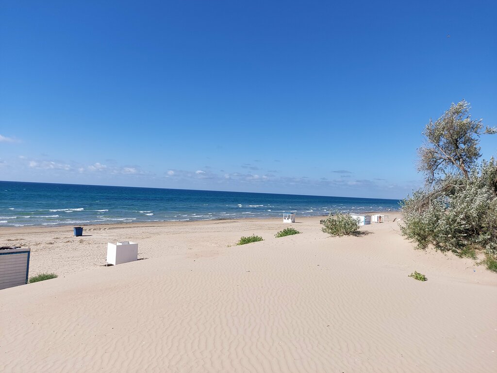 Resort oteller, tesisler База отдыха Минеральные воды, Anapa, foto