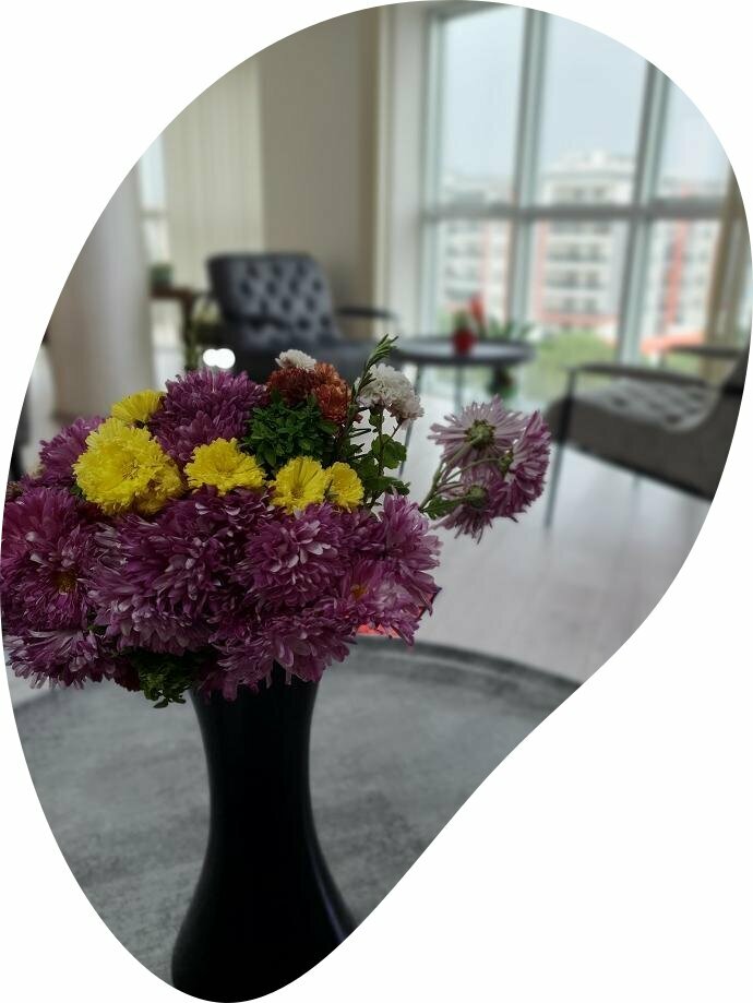 Aile danışmanlığı Katarsis Psikolojik Danışmanlık Merkezi Efeler, Efeler, foto