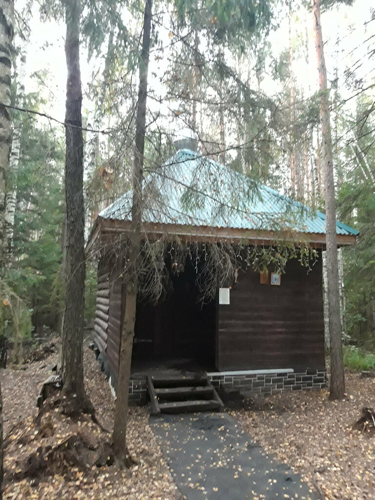 Pınar, çay Spring, stream, Riazanskaya oblastı, foto